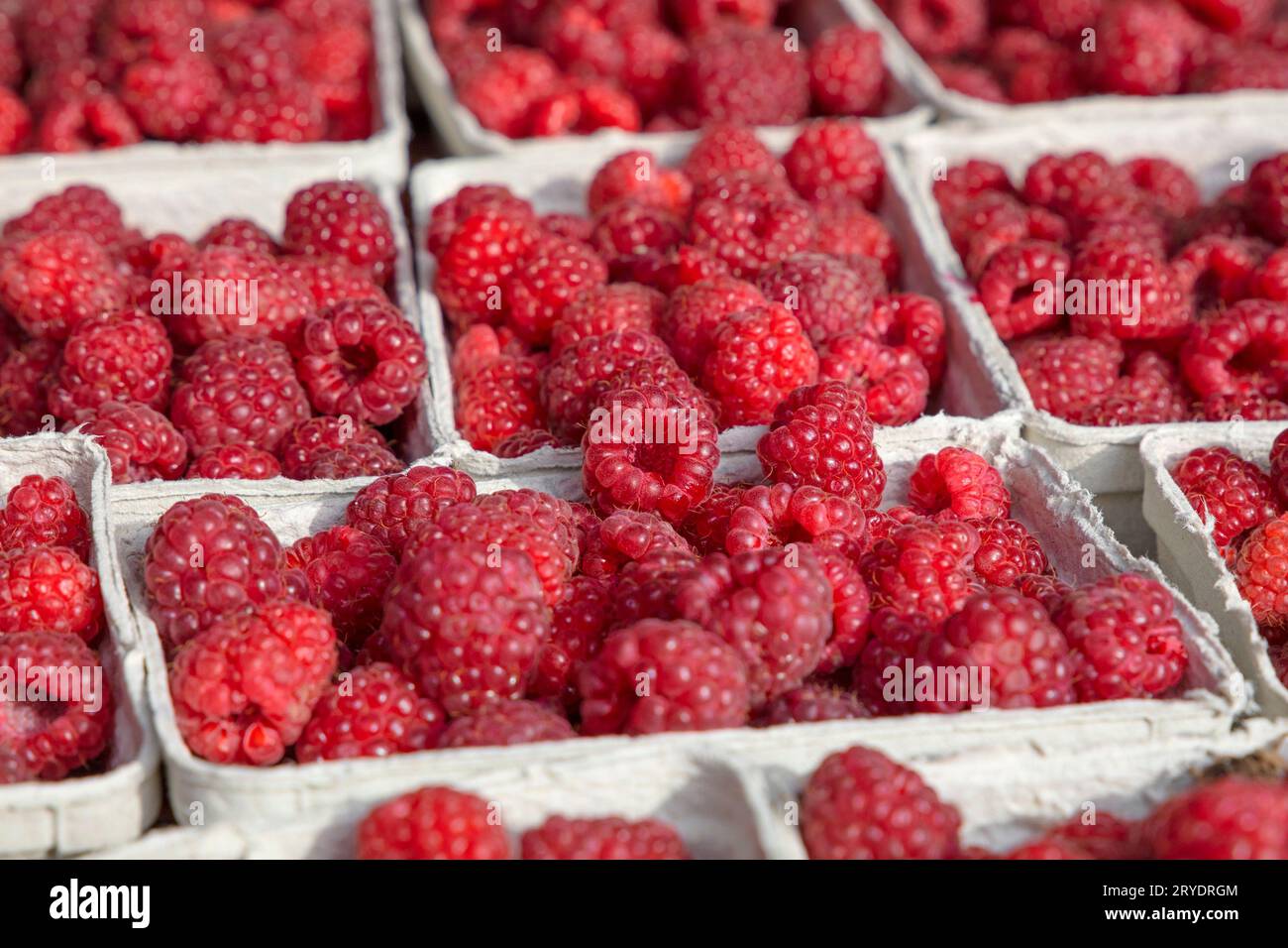 Close up fresh raspberry on retail display Stock Photo - Alamy