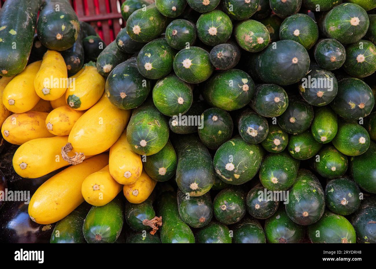 Fresh zucchini close up hi-res stock photography and images - Alamy