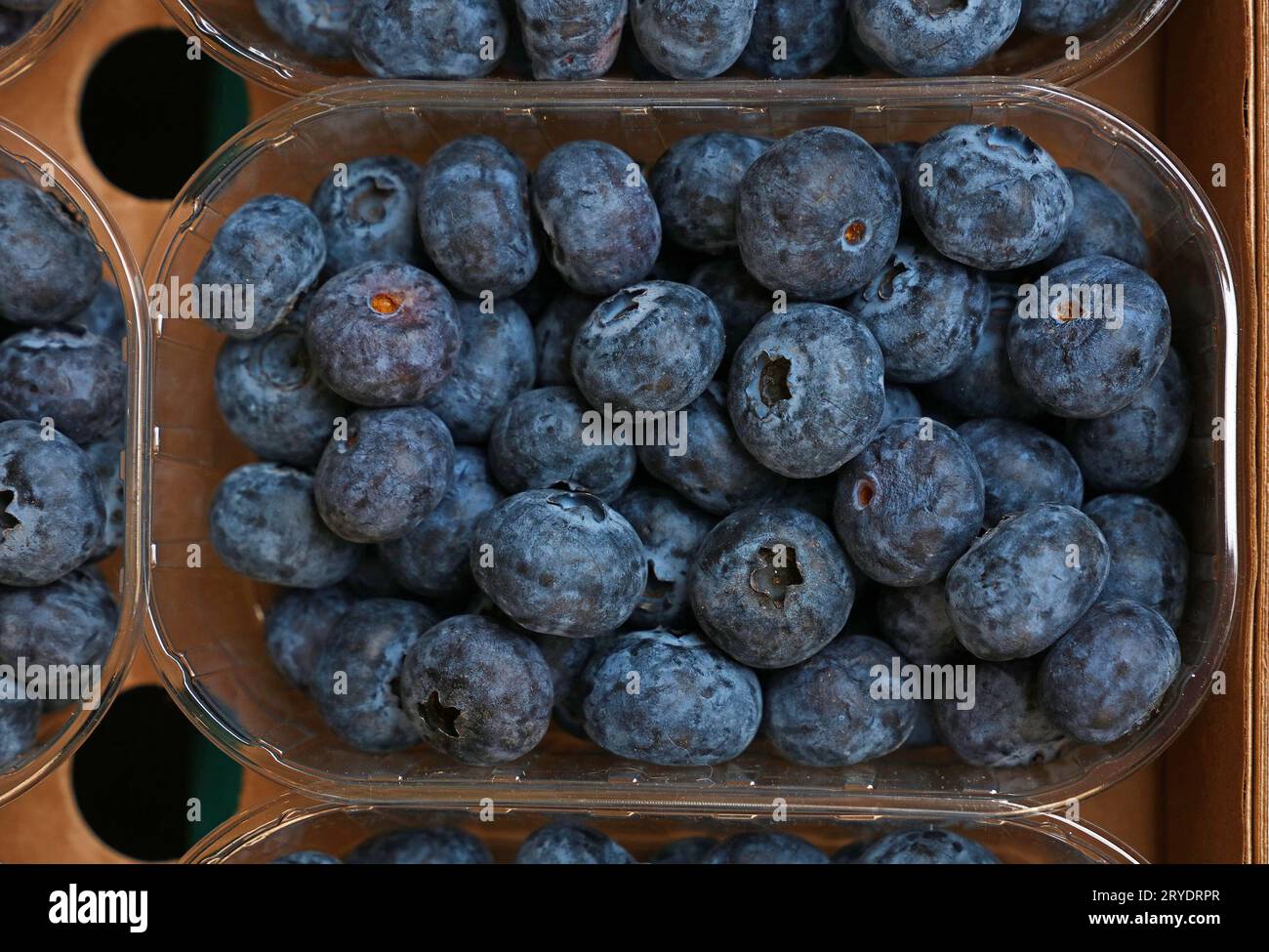 Display of blueberry hi-res stock photography and images - Alamy