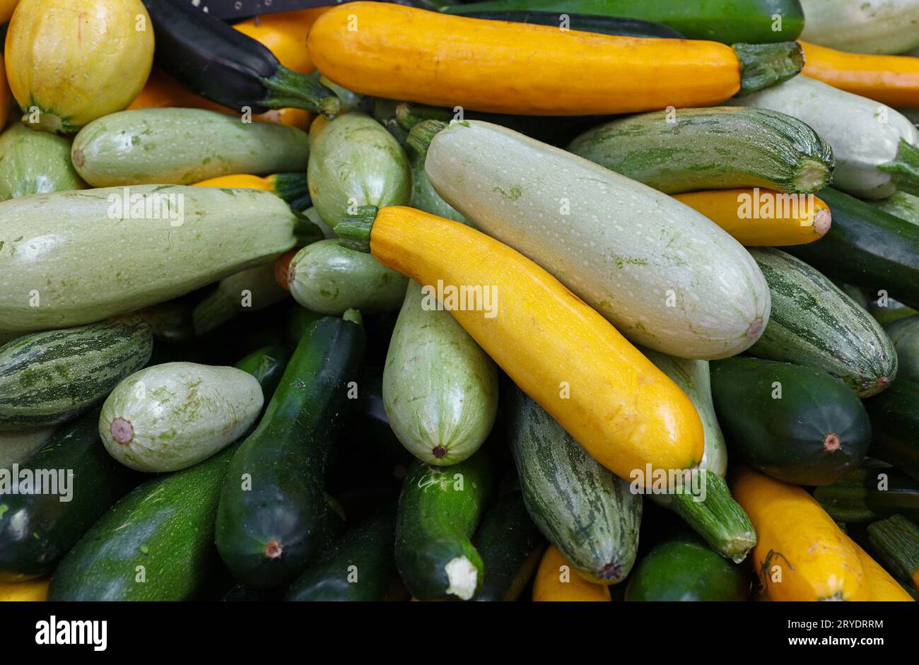 Fresh zucchini close up hi-res stock photography and images - Alamy