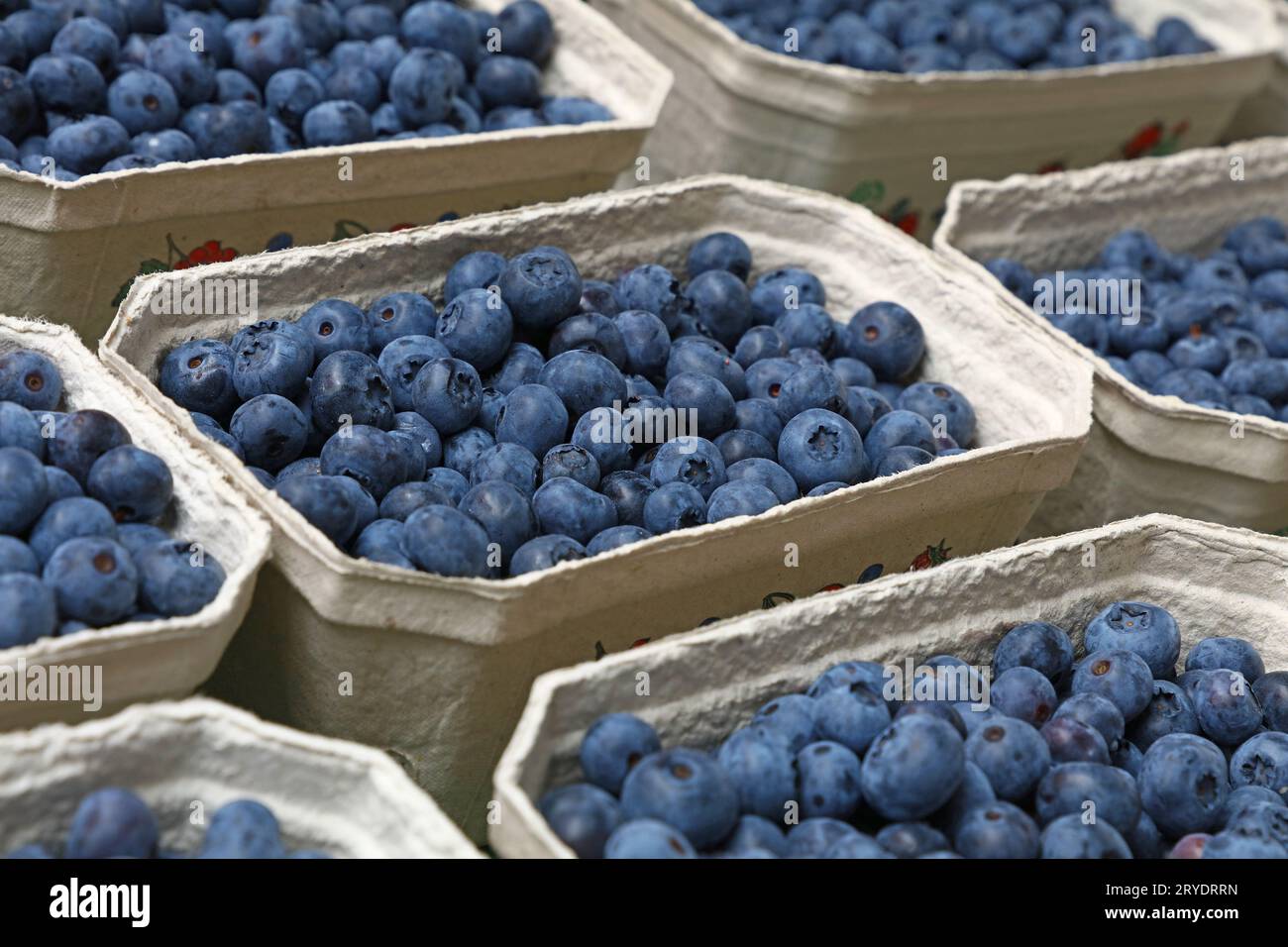 Close up fresh blueberry on retail display Stock Photo - Alamy