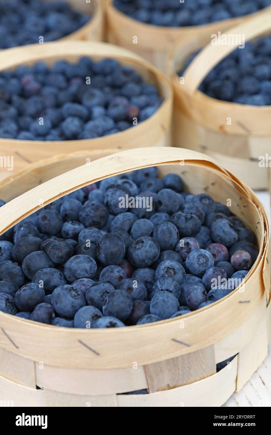 Display of blueberry hi-res stock photography and images - Alamy