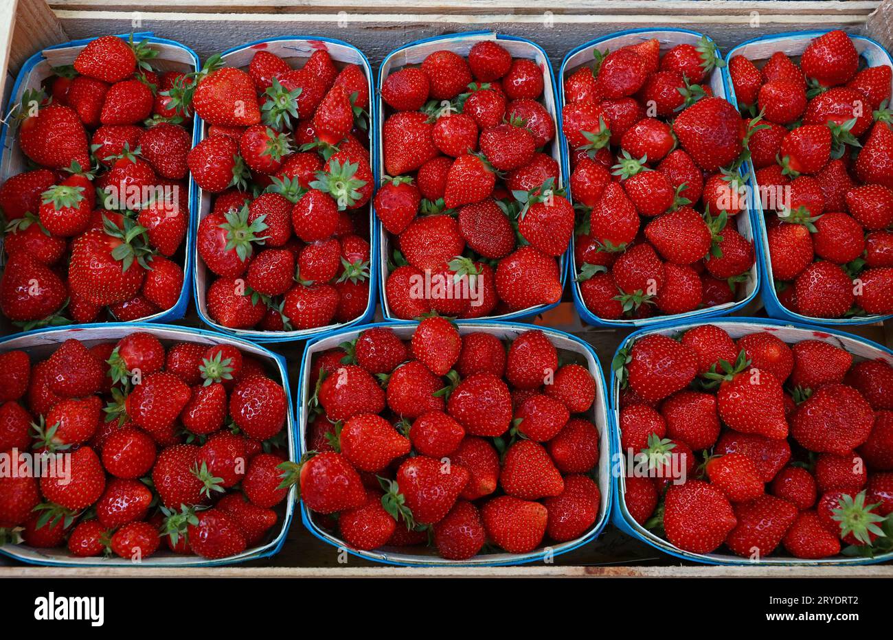 Retail display hi-res stock photography and images - Alamy