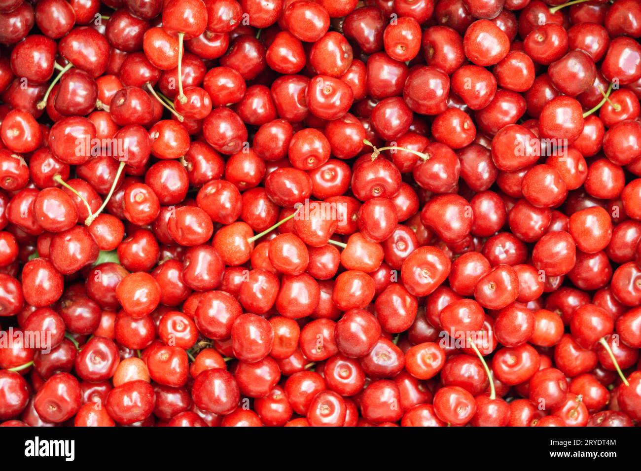 Nature sweet cherry hi-res stock photography and images - Alamy