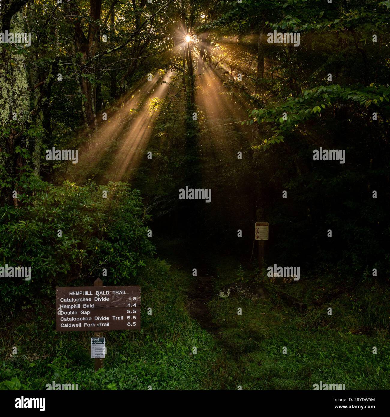 Hiking shafts hi-res stock photography and images - Alamy