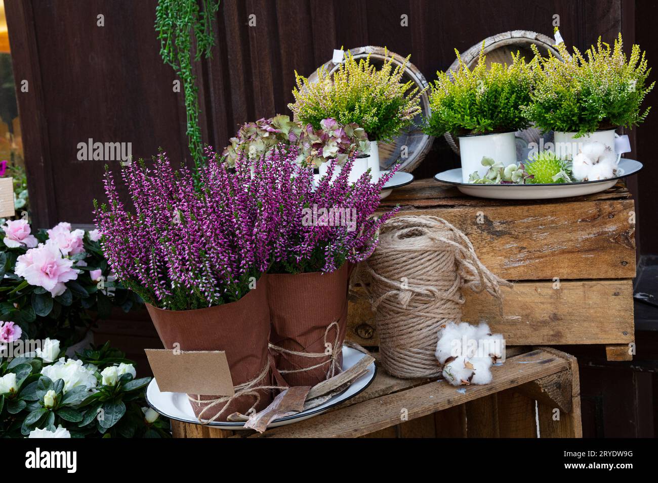 Heather display hi-res stock photography and images - Alamy