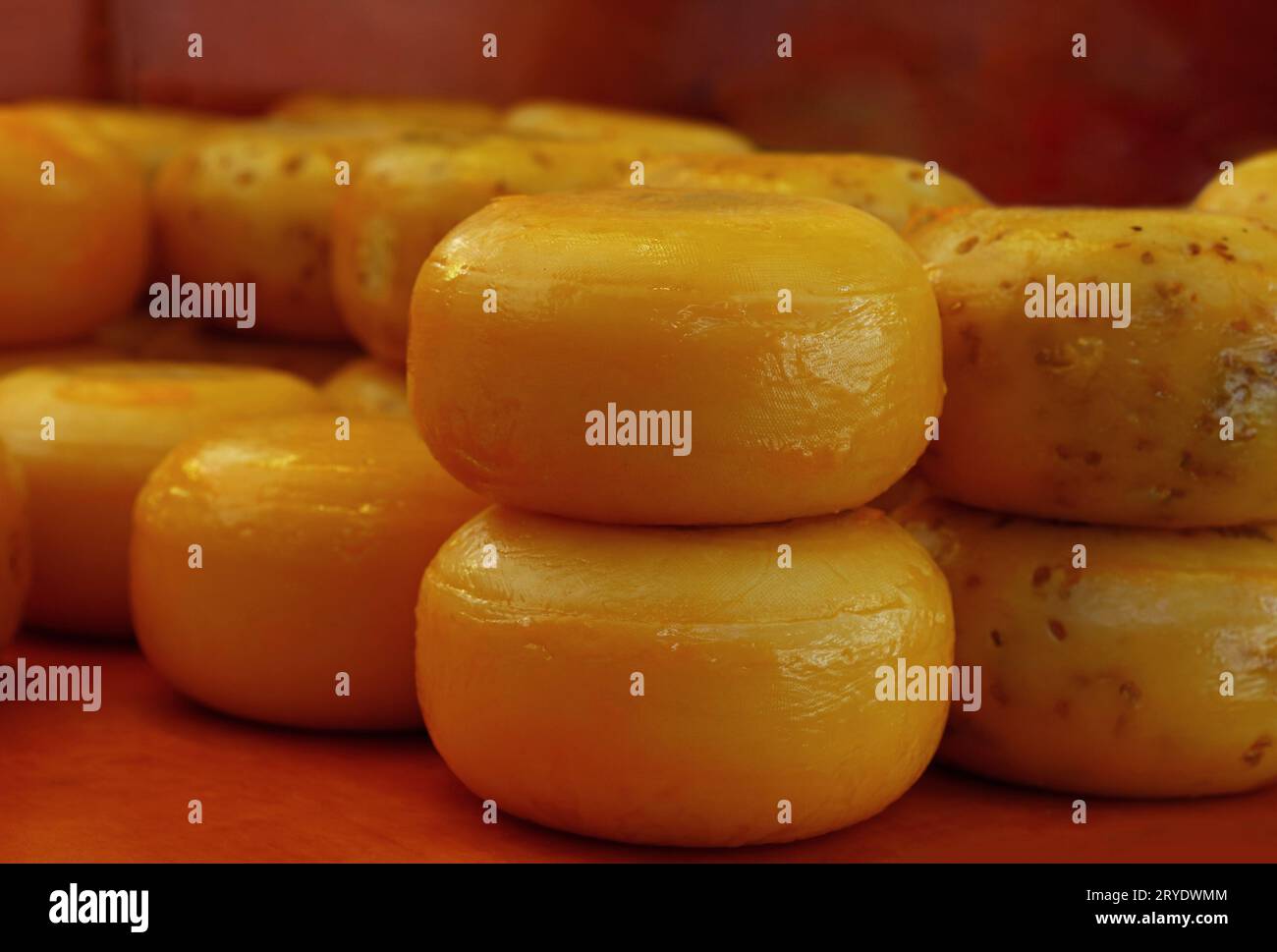Small heads of hard cheese on retail display Stock Photo - Alamy