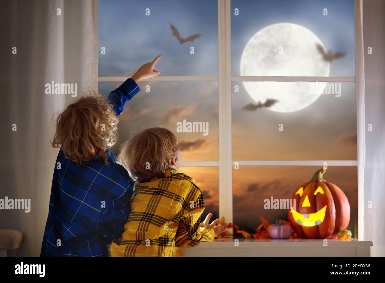 Halloween night. Kids watch huge full moon and bats in dark window ...