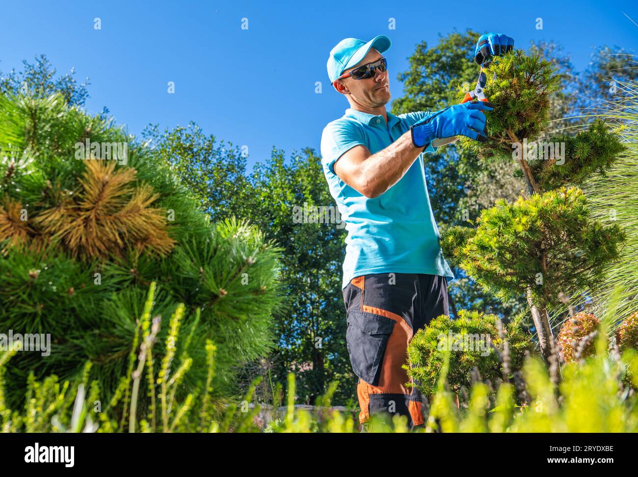 Late Summer Season Backyard Garden Flowers Pruning Stock Photo - Alamy