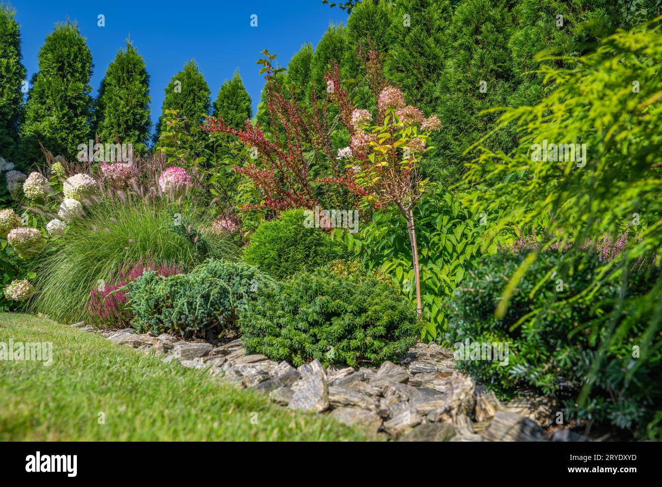 Scenic Residential Backyard Garden During Sunshine Summer Weather Stock ...