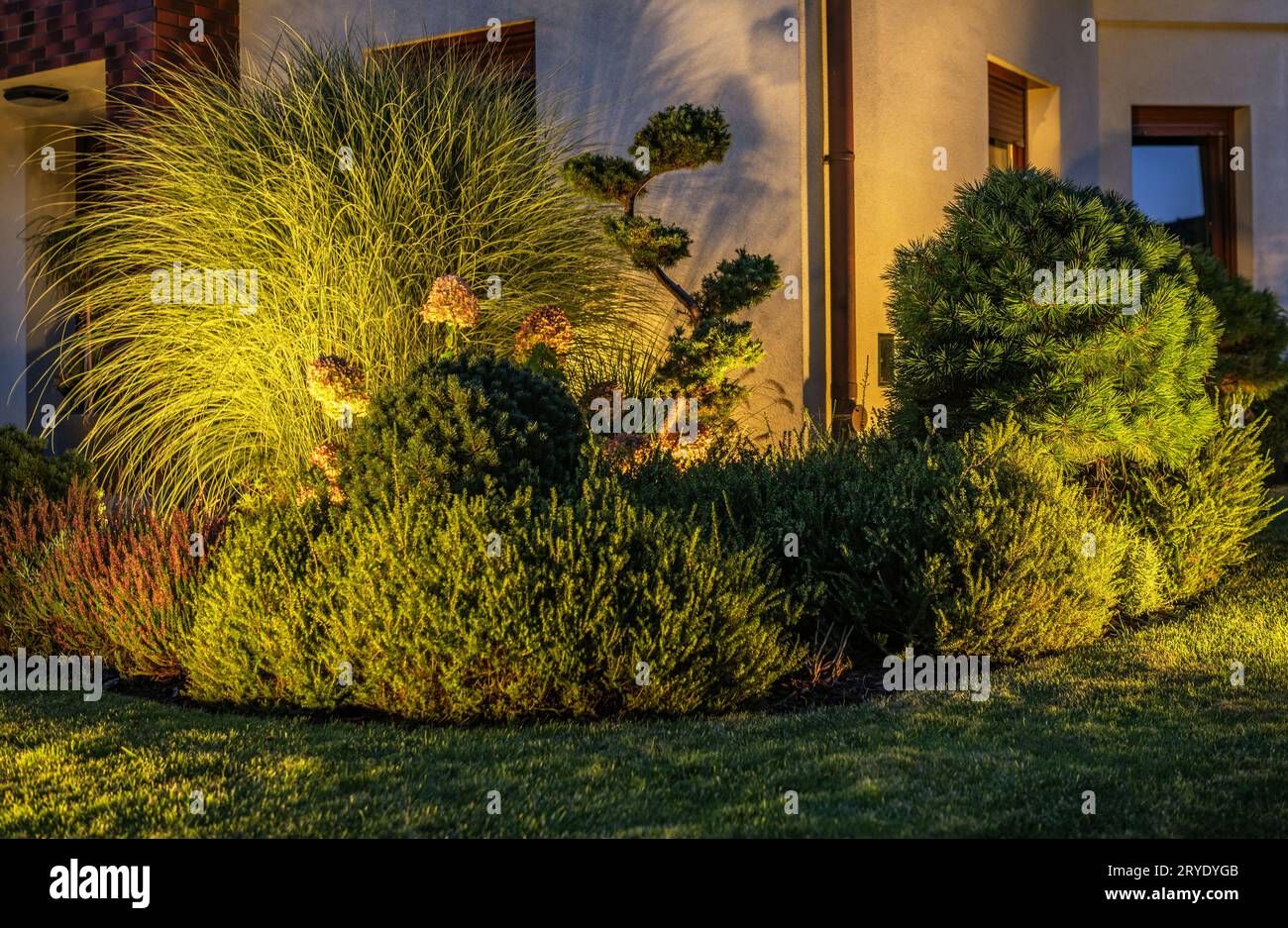Landscaping Theme. Garden Plants Illuminated by Outdoor LED Lighting ...