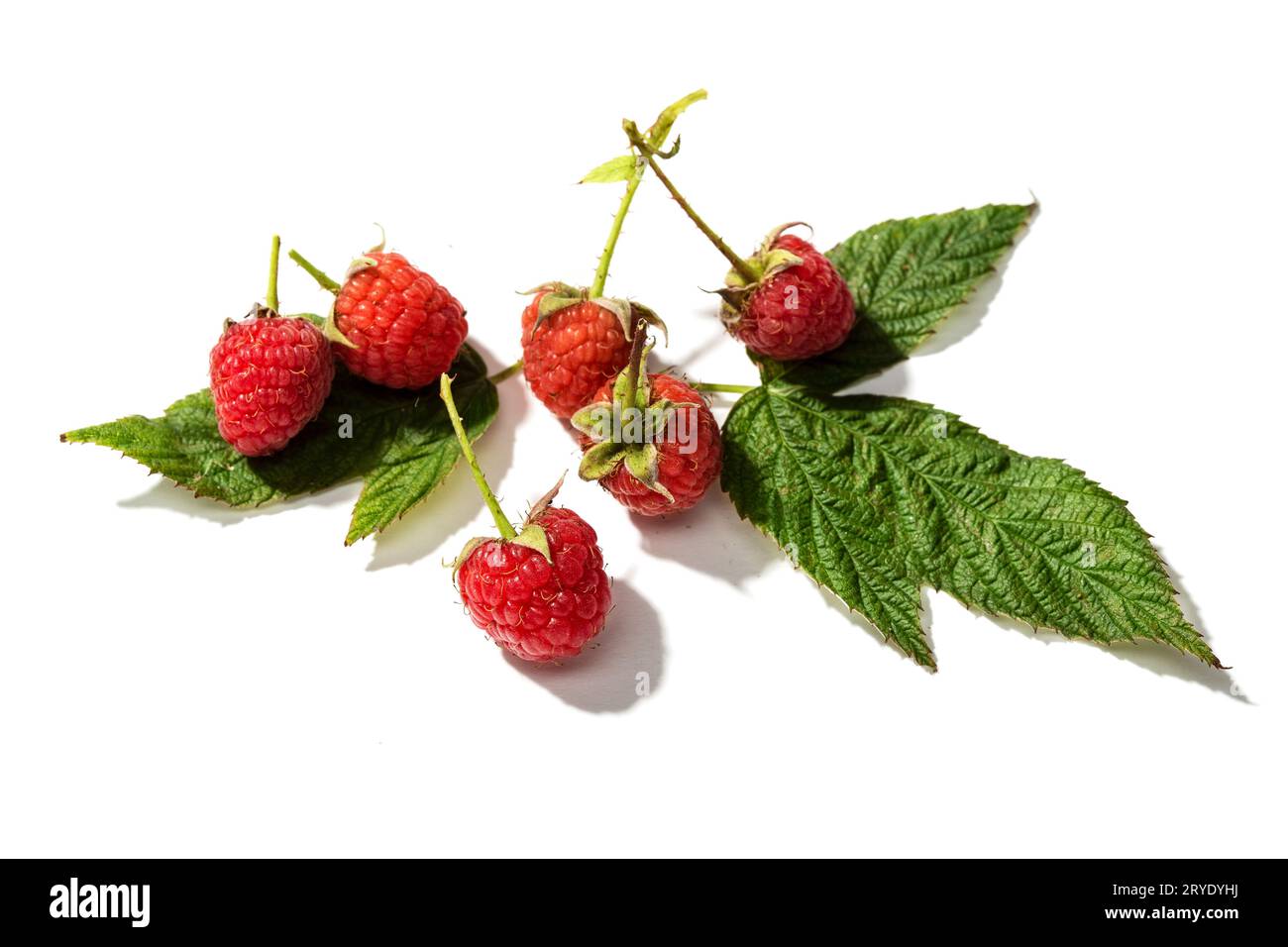 Fresh raspberry isolated on white background Stock Photo - Alamy