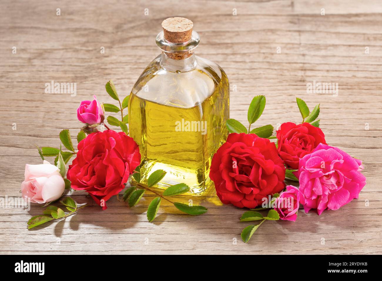 Essential rose oil roses hi-res stock photography and images - Alamy