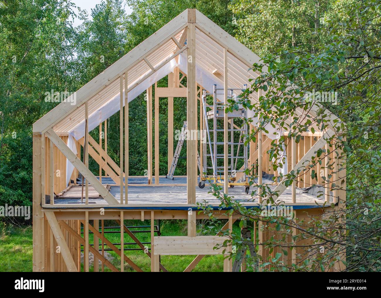 Newly Built Wooden Skeleton Frame of a House Located Between Trees ...