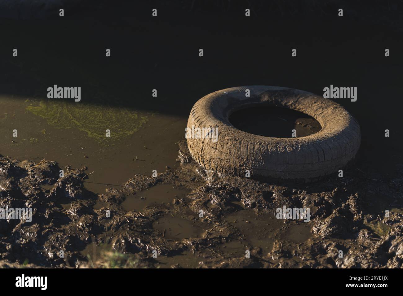Laying in mud hi-res stock photography and images - Alamy