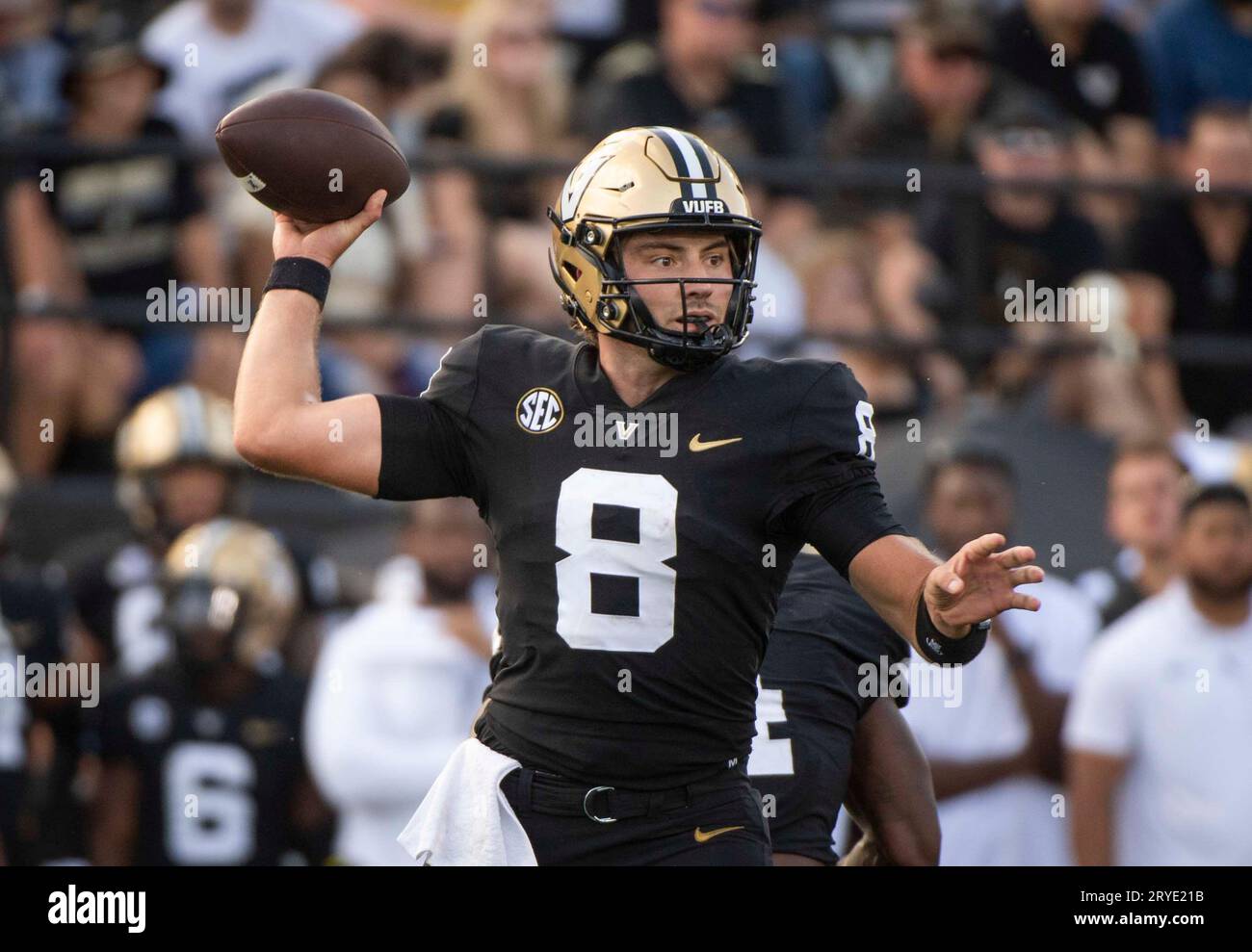 Seals stadium hi-res stock photography and images - Alamy