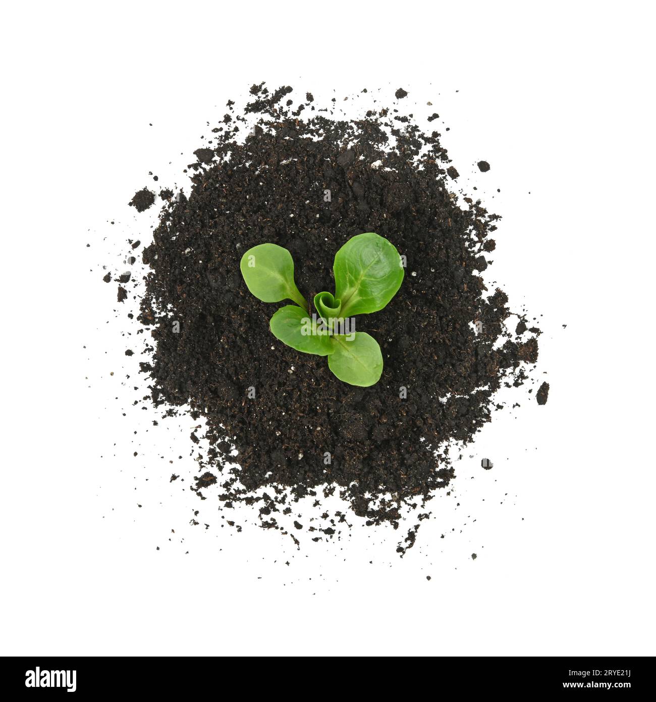 Humus soil hi-res stock photography and images - Alamy