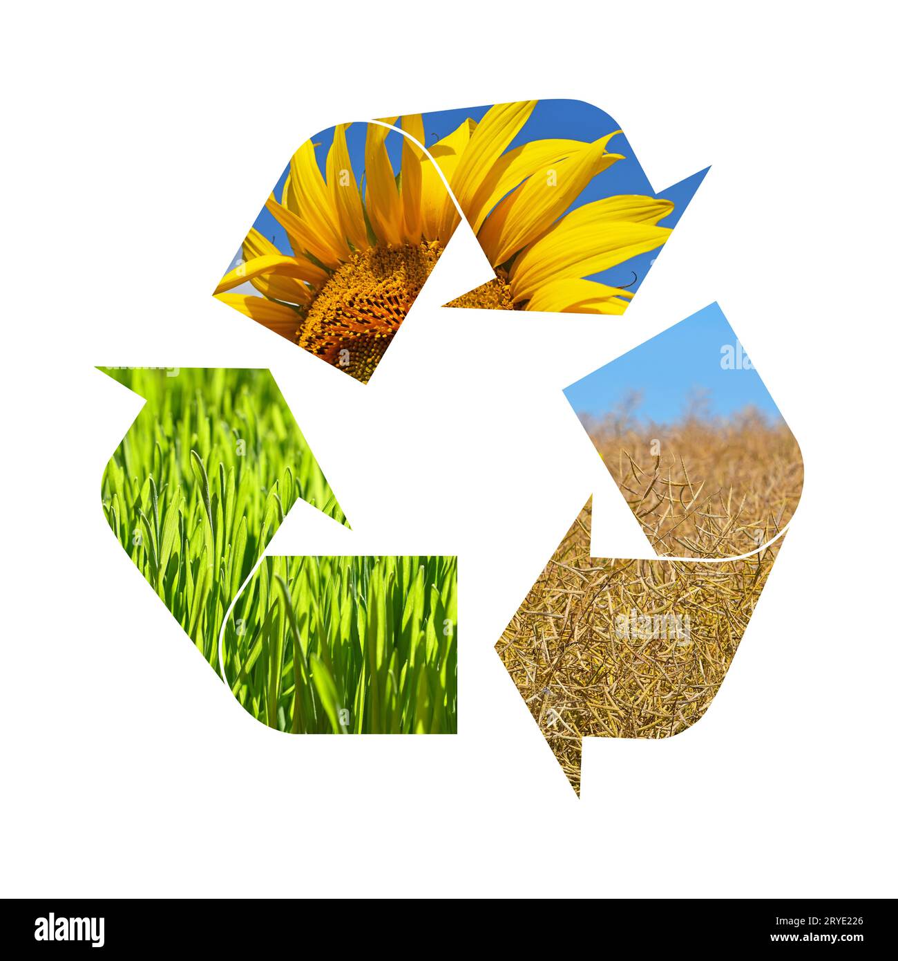 Recycling environment eco concept Cut Out Stock Images & Pictures - Alamy