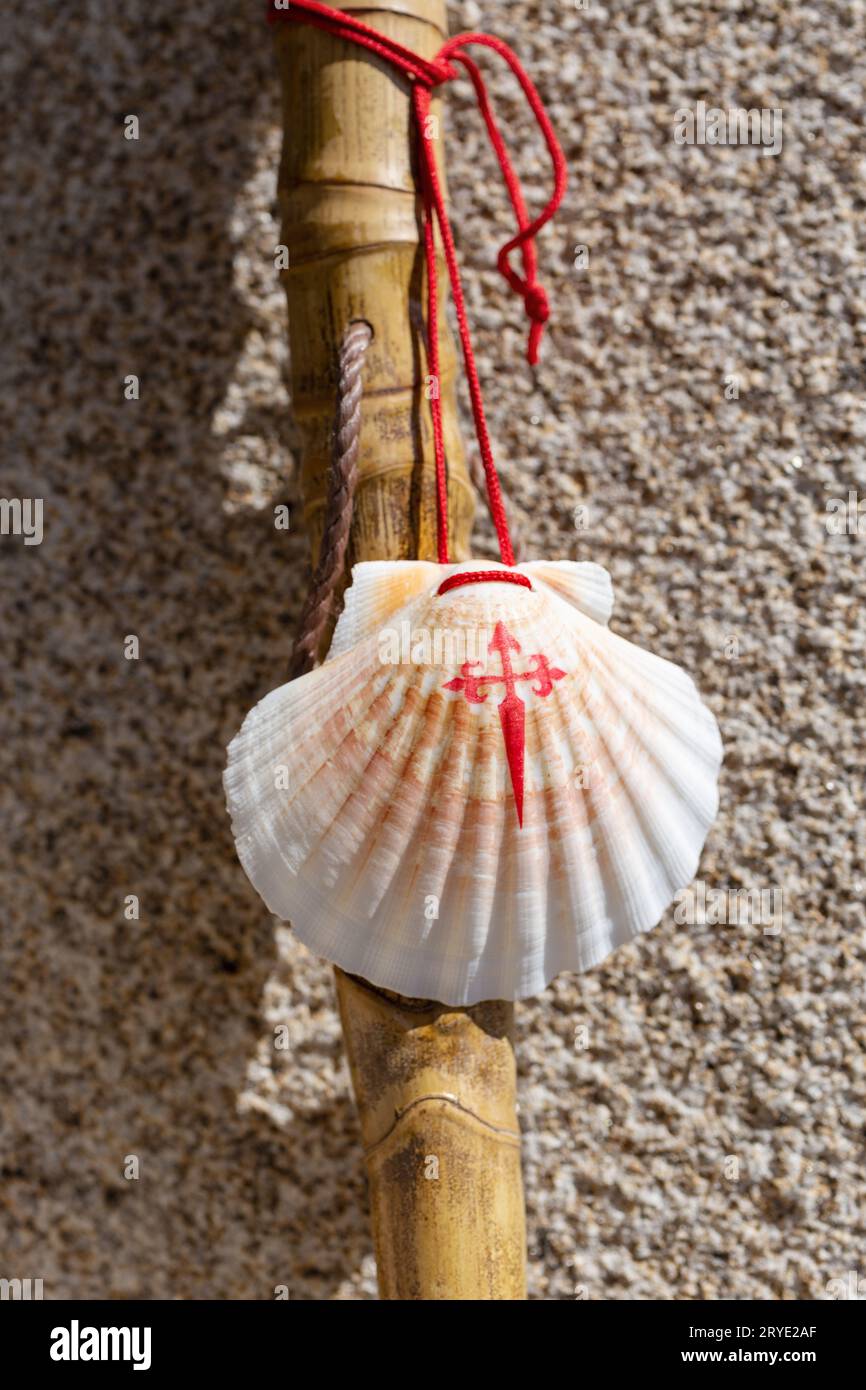 Walking stick and seashell of the Camino de Santiago Stock Photo - Alamy