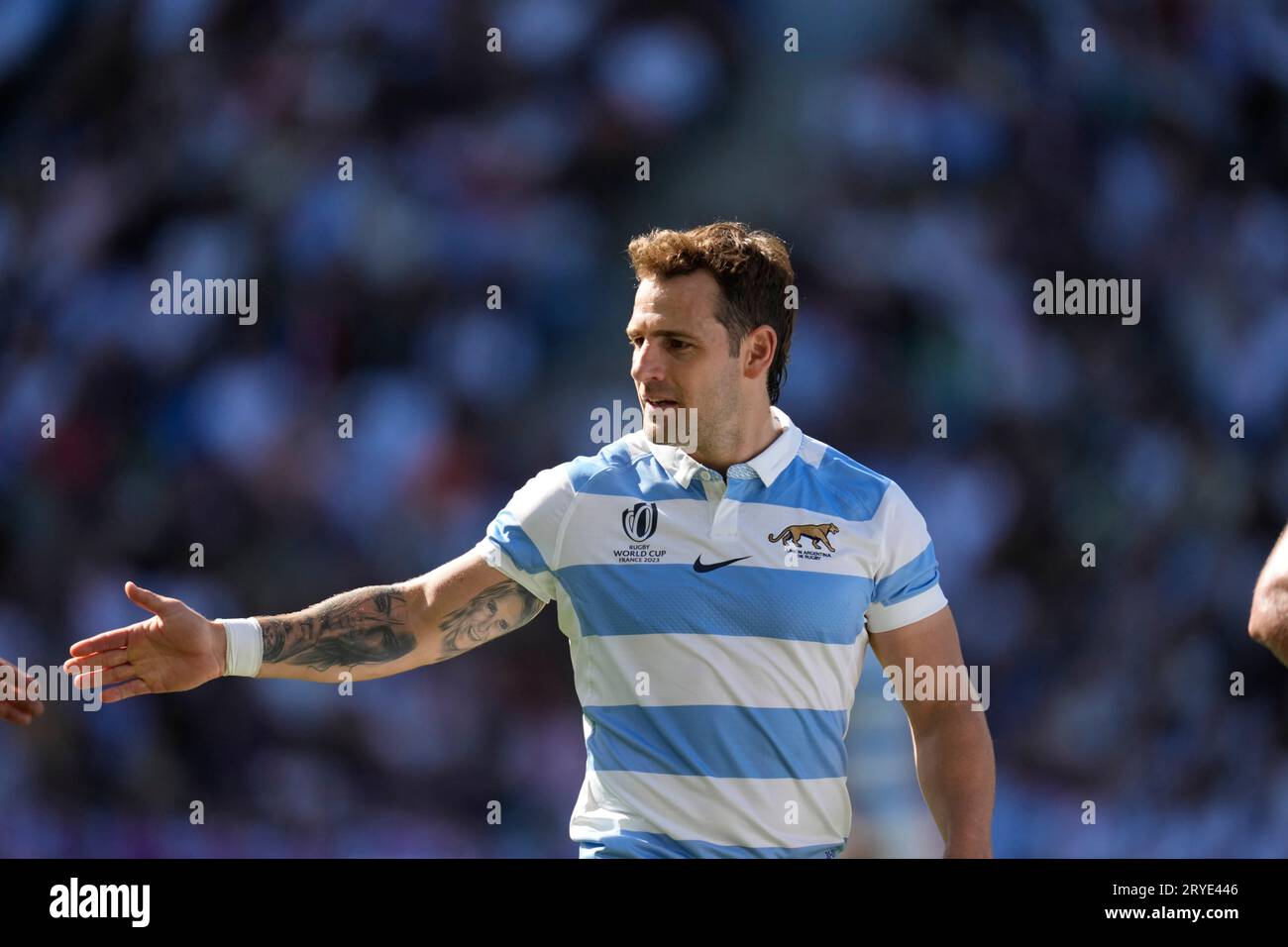 Argentina's Nicolas Sanchez during the Rugby World Cup Pool D match ...
