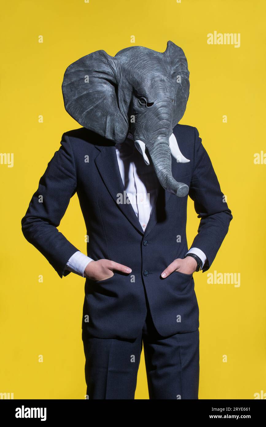 Elephant mask hi-res stock photography and images - Alamy