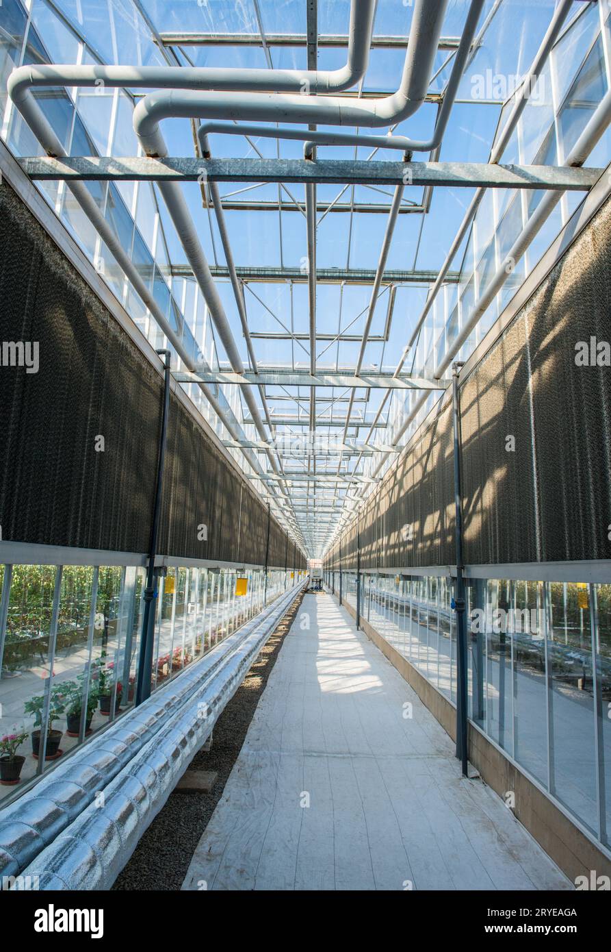 Interior of greenhouse hi-res stock photography and images - Alamy
