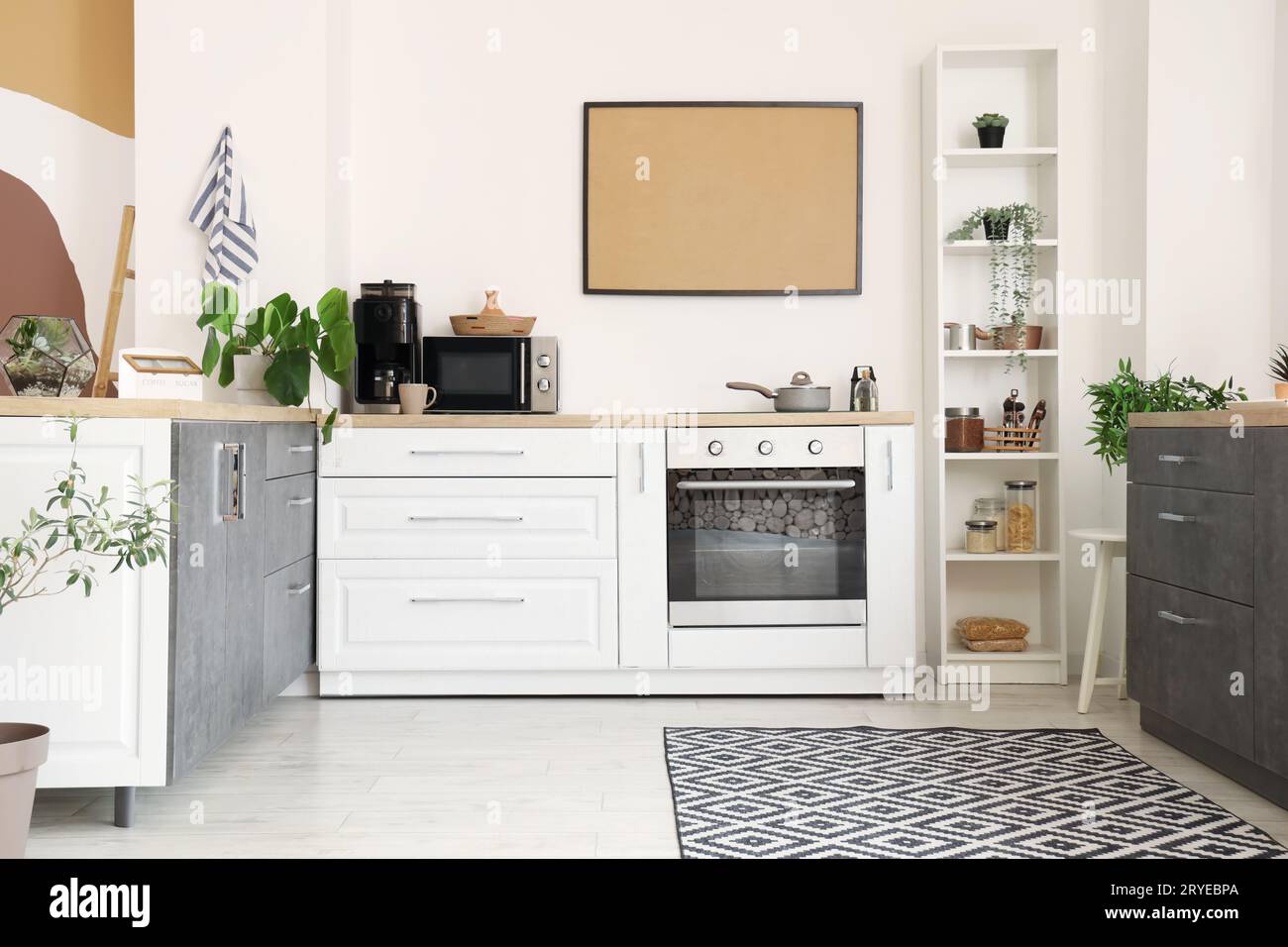 Interior of light kitchen with counters and carpet Stock Photo - Alamy