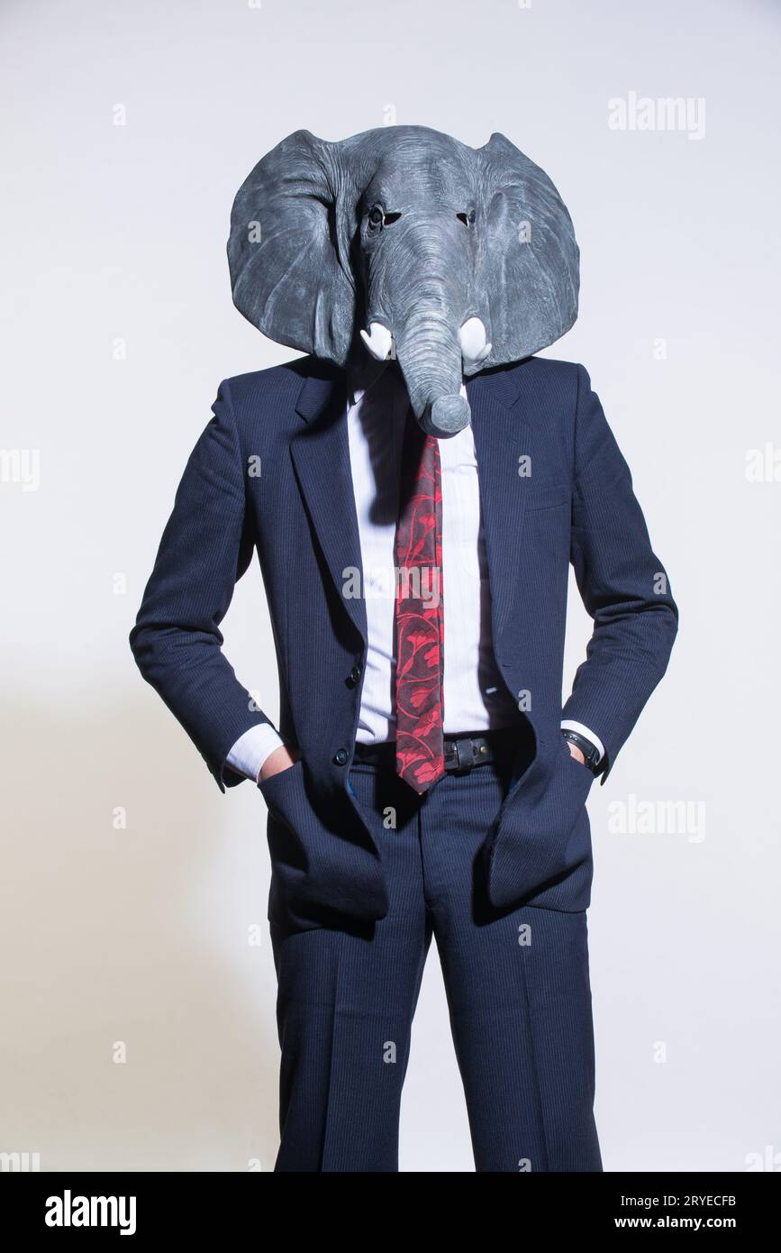 Elephant mask hi-res stock photography and images - Alamy