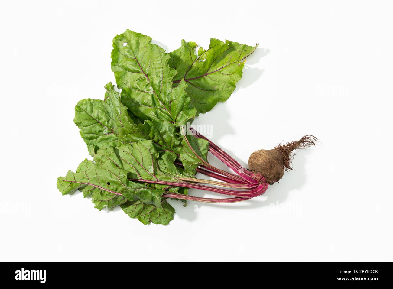 Red beet root with leaves isolated on white background Stock Photo - Alamy