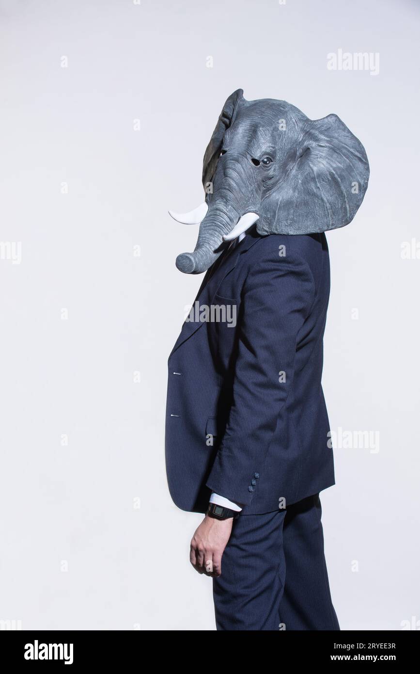Elephant mask hi-res stock photography and images - Alamy