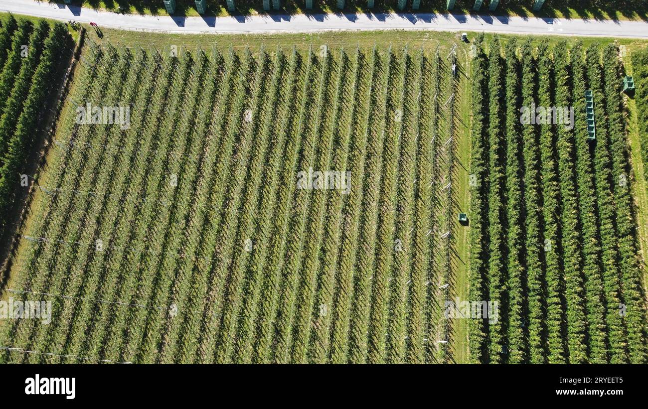Aerial flying in fruit orchard hi-res stock photography and images - Alamy
