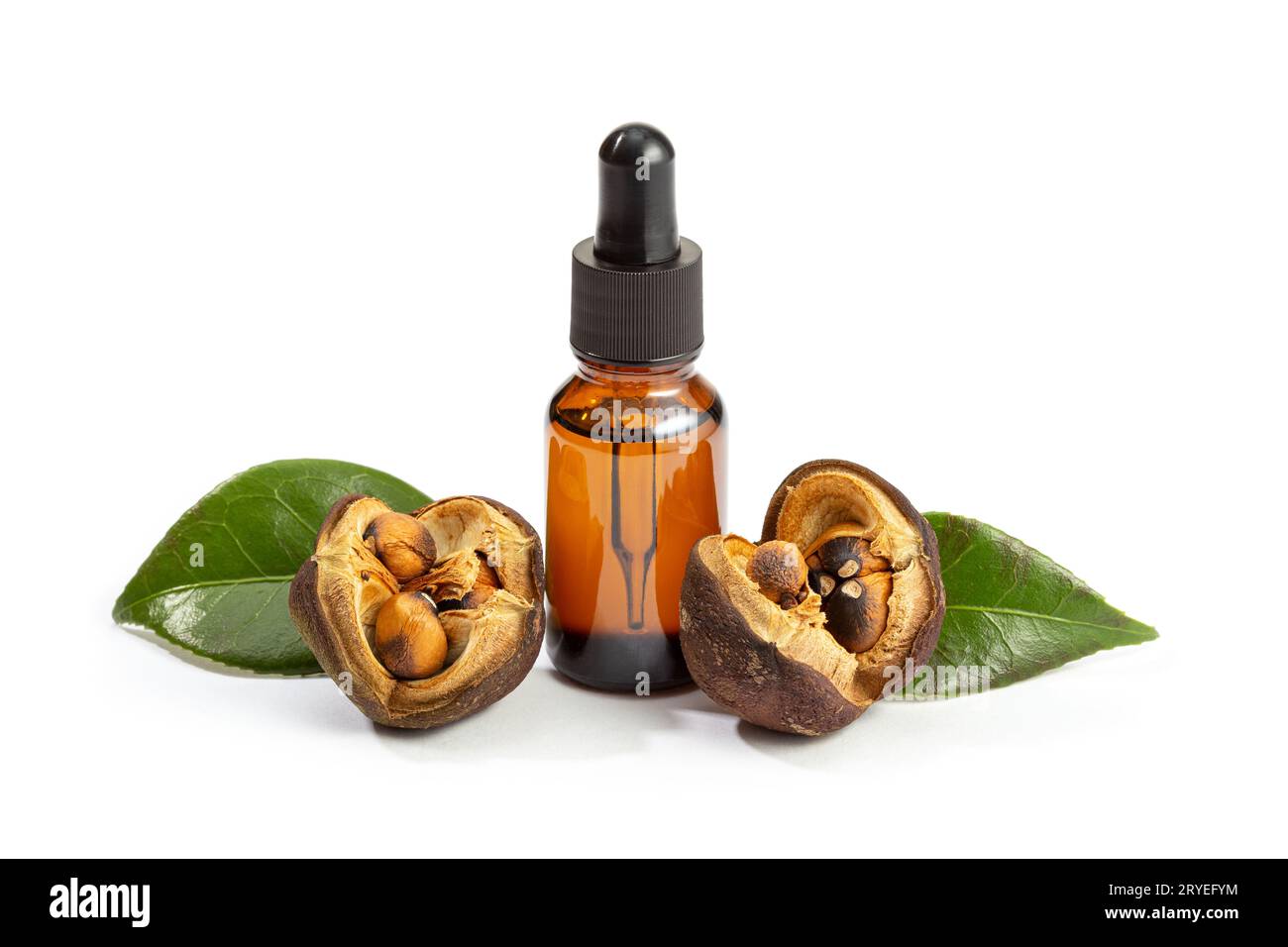 Camellia oil isolated on white background Stock Photo - Alamy