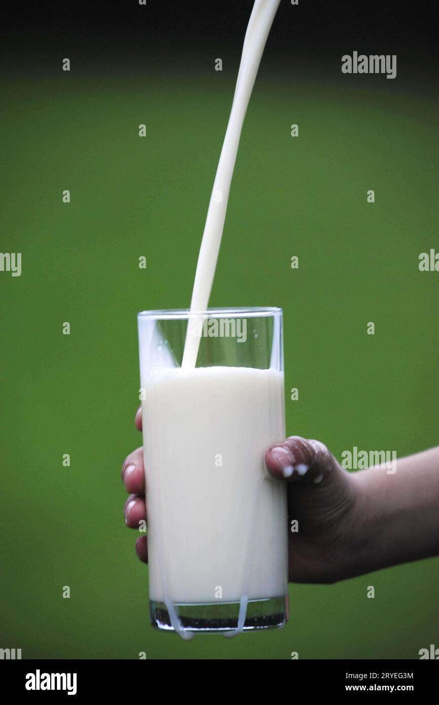 Hand milk hi-res stock photography and images - Alamy