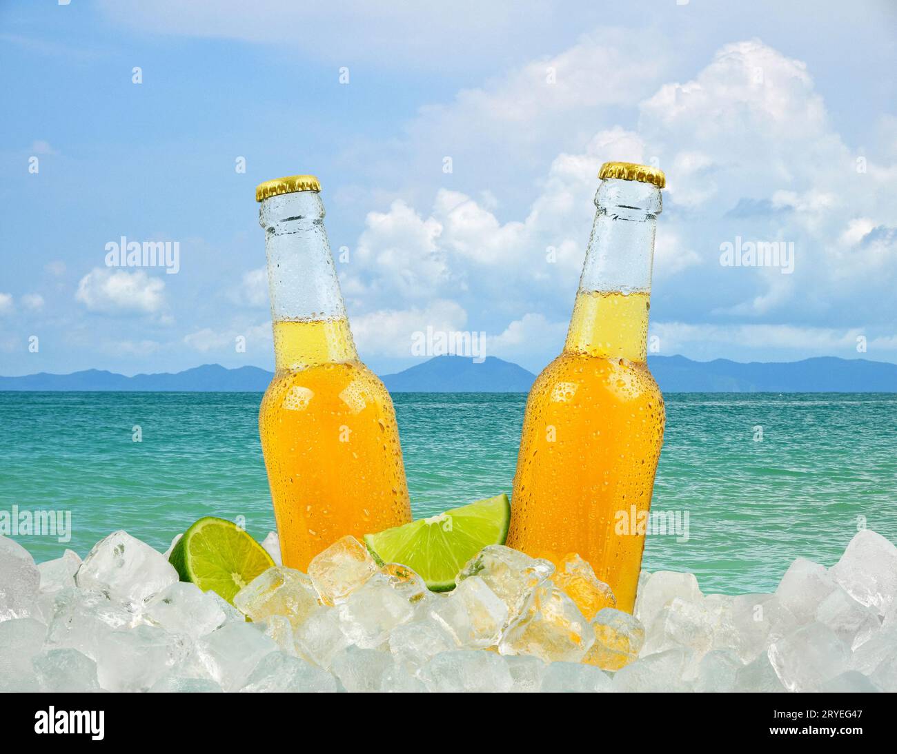 Closeup two beer bottles hi-res stock photography and images - Alamy