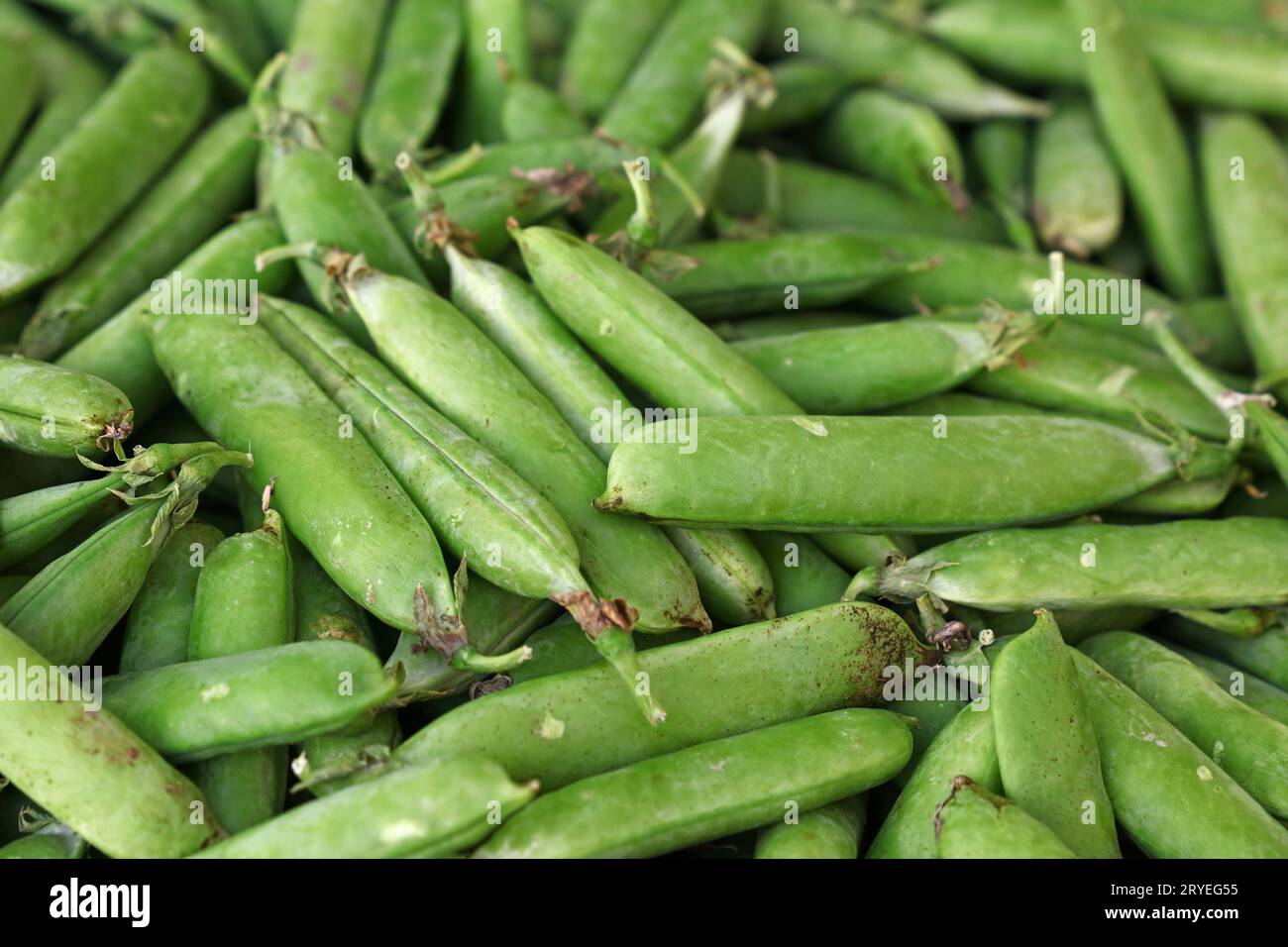 Pods display hi-res stock photography and images - Alamy