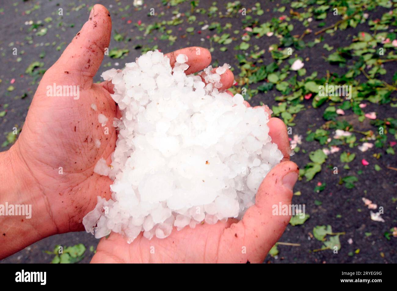 Hand hail hi-res stock photography and images - Alamy
