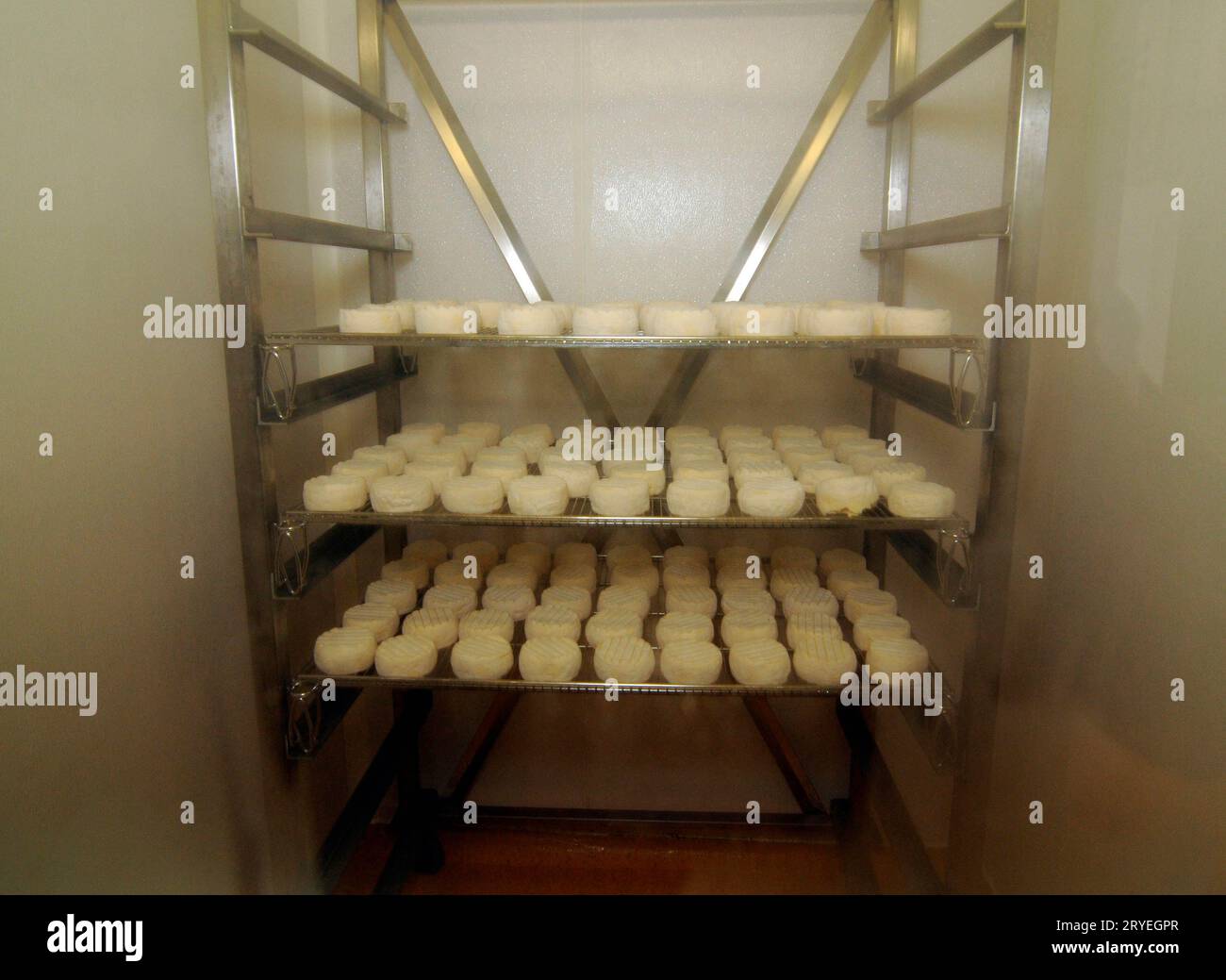 Maturation cheese hi-res stock photography and images - Alamy