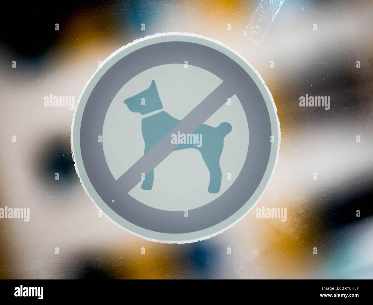 No dogs allowed sign Stock Photo - Alamy