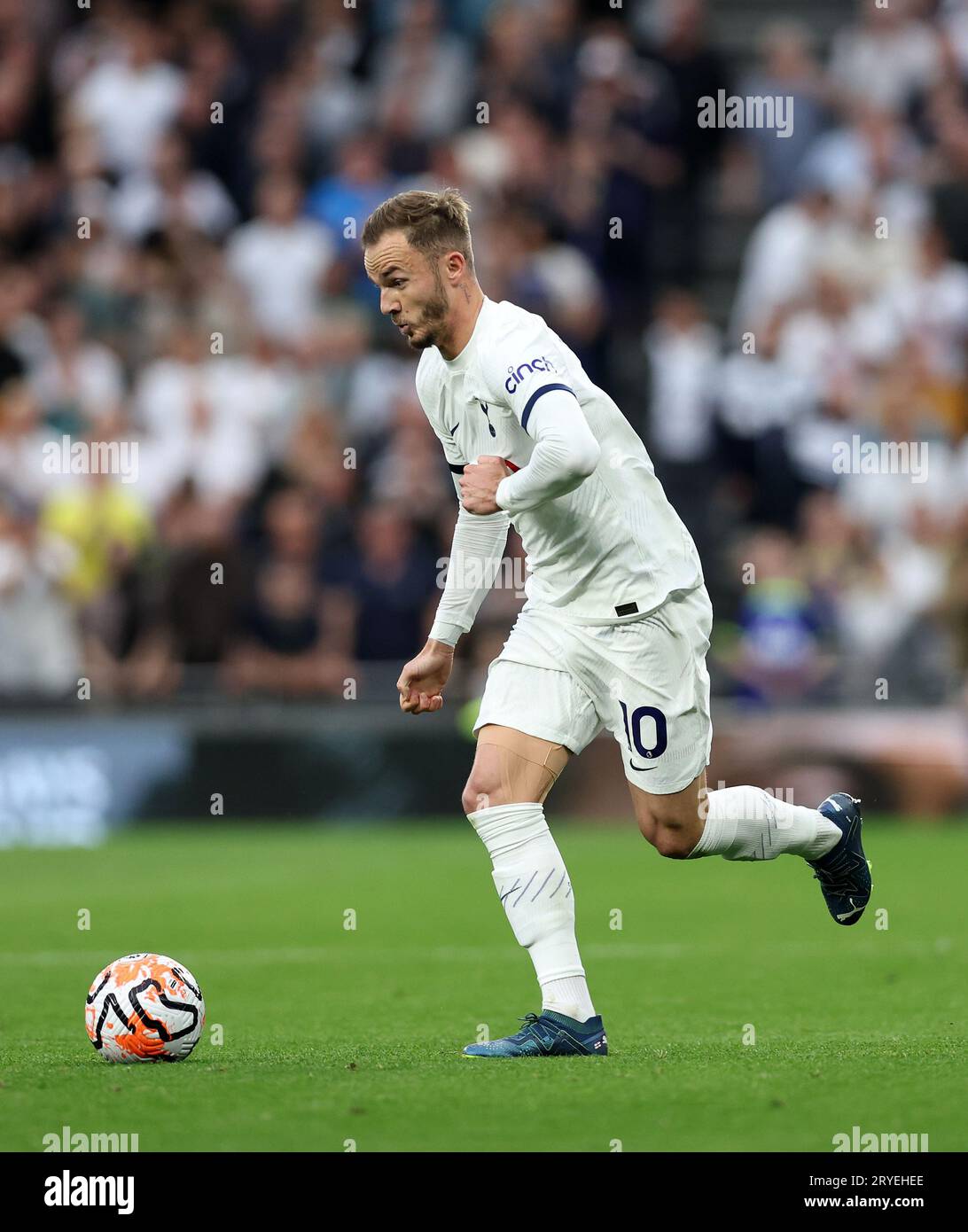 David maddison hi-res stock photography and images - Alamy