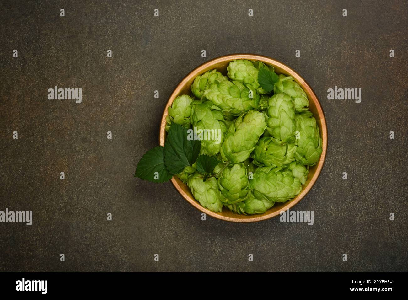 Green fresh cones hops hi-res stock photography and images - Alamy