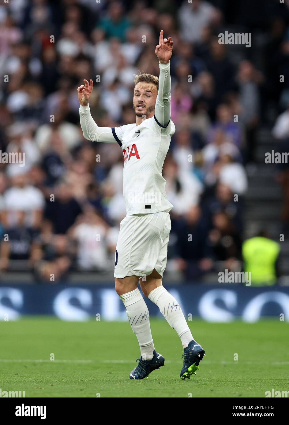 David maddison hi-res stock photography and images - Alamy