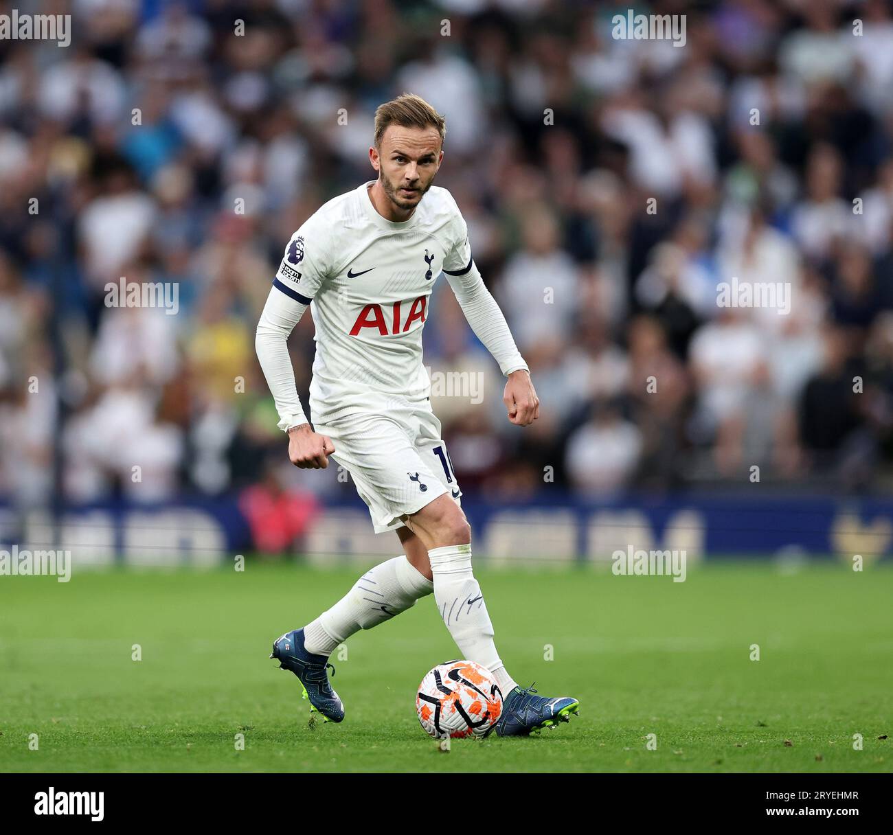 David maddison hi-res stock photography and images - Alamy