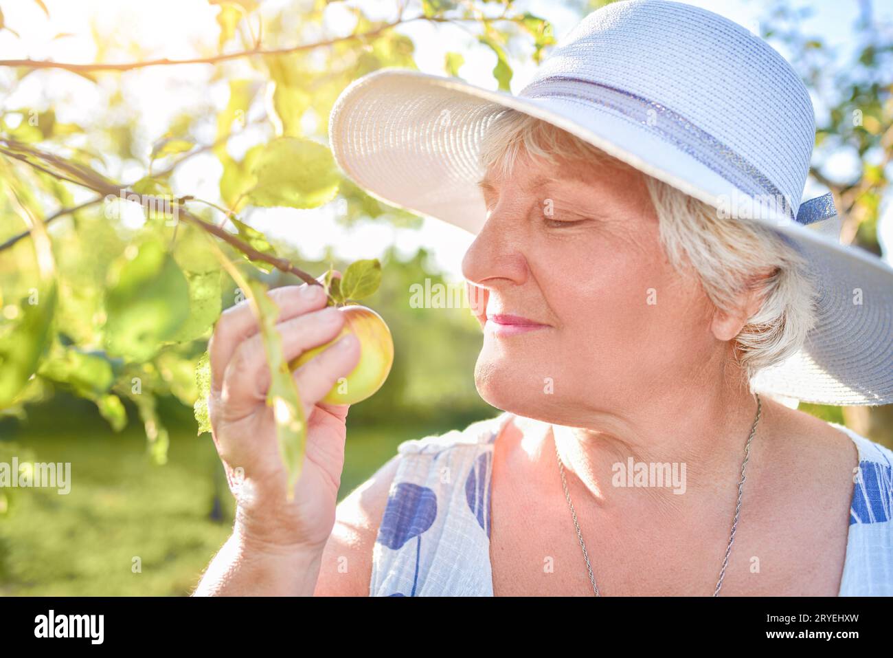 Sniff smell hi-res stock photography and images - Alamy