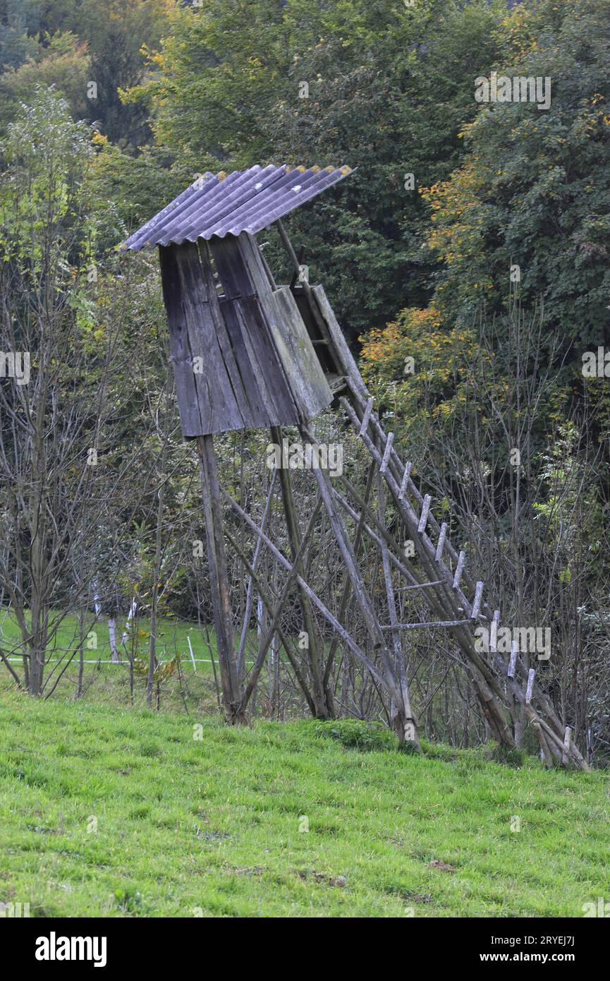 Tilted raised hide near forest Stock Photo - Alamy