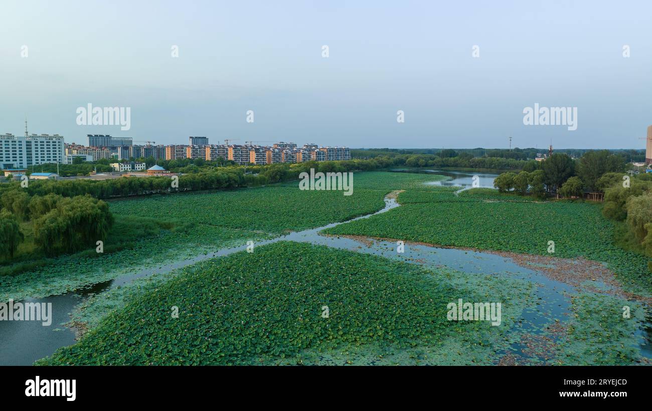 Waterfront City Scenery, North China Stock Photo - Alamy