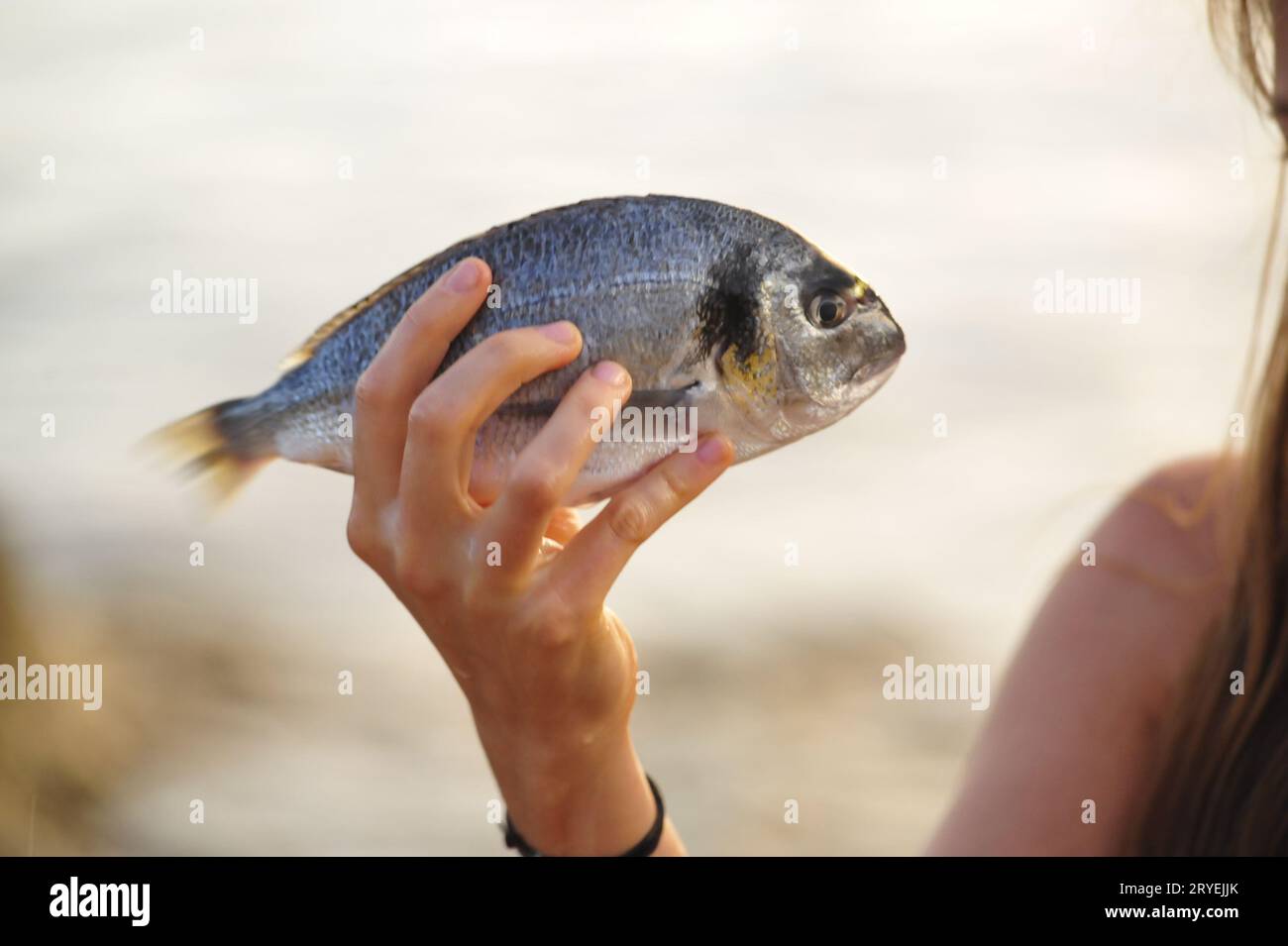 Biodiversity symbol hi-res stock photography and images - Alamy