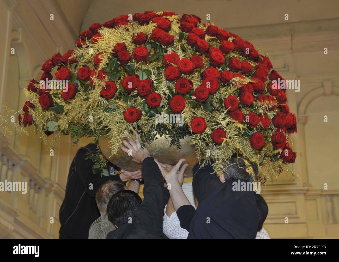 Rose flowering plant without thorns Stock Photo - Alamy