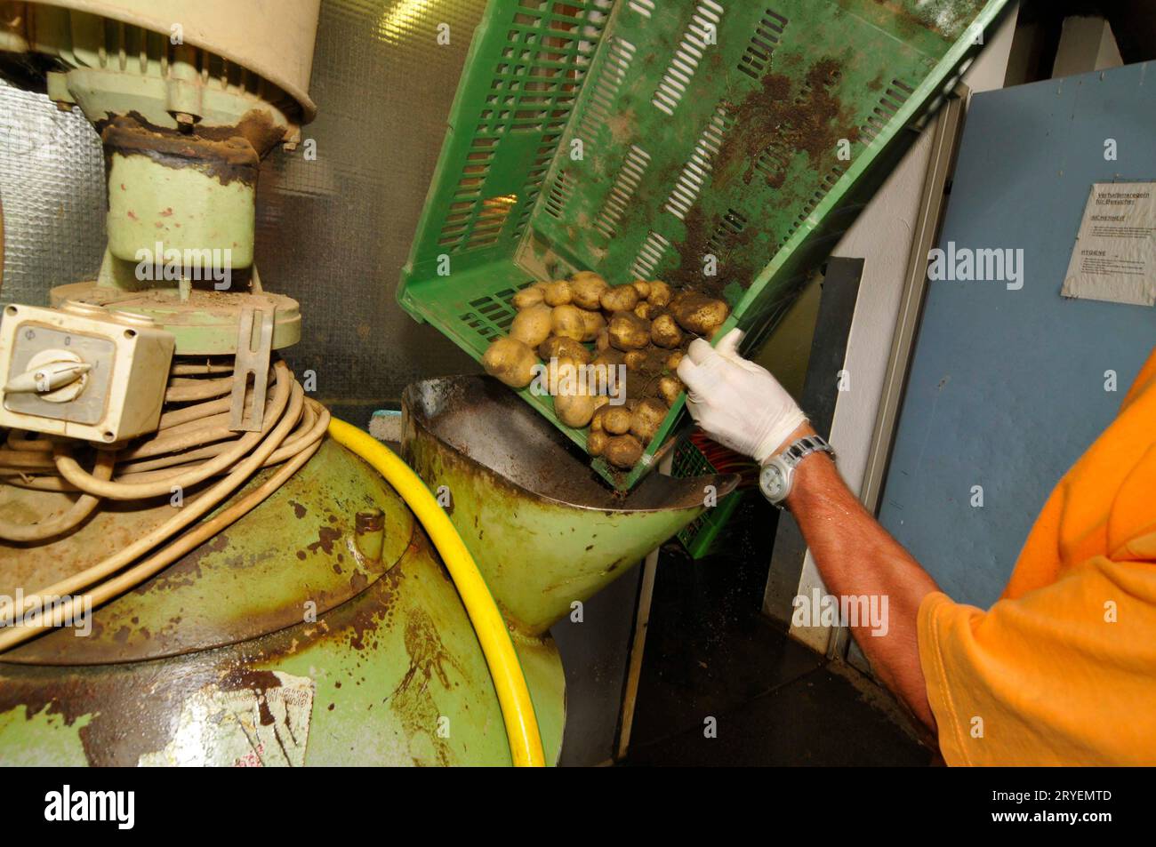Potato cleaning after the harvest Stock Photo - Alamy