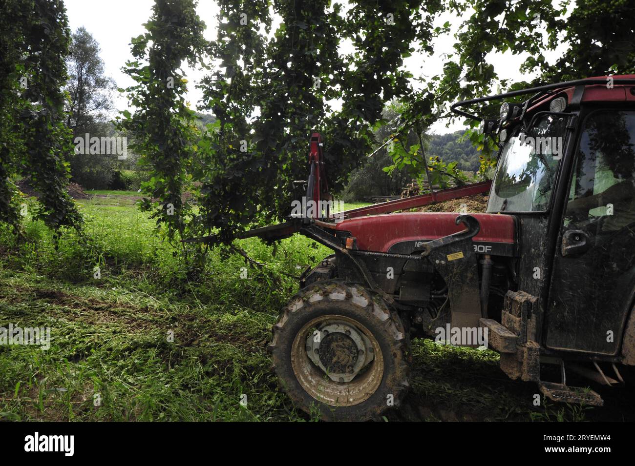 Hop picking machine hi-res stock photography and images - Alamy