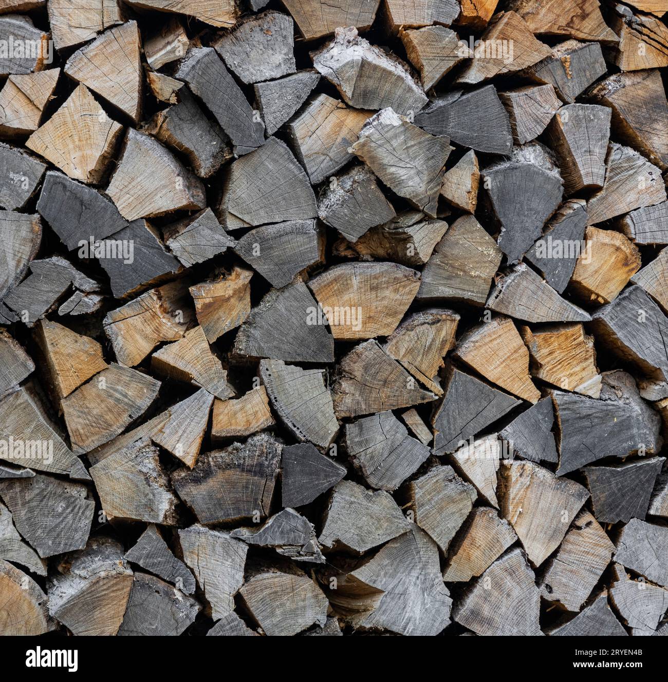 Stack pile of firewood oak wooden logs Stock Photo - Alamy